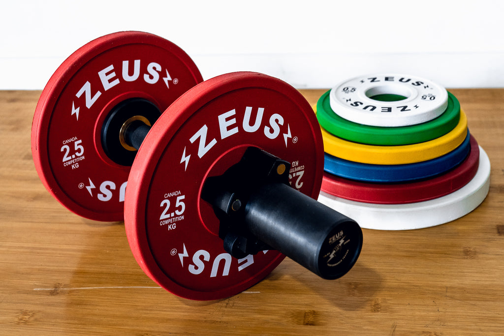 Zeus Lightning Loadable Dumbbell - Fully Loaded Package – Zeus Fitness BC